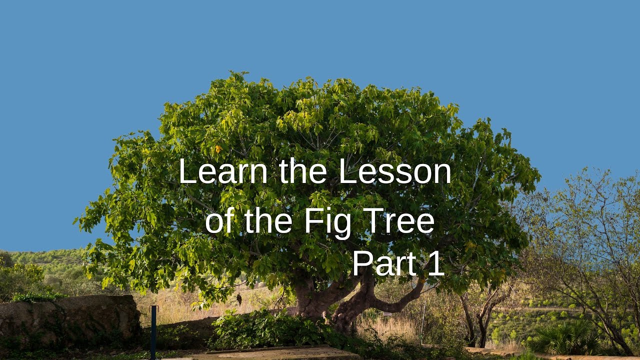 Learn the Lesson of the Fig Tree part 1 - YouTube