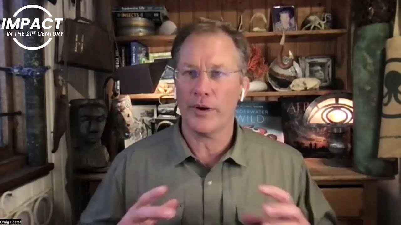 Craig Foster On Why You Should Remember That You Are Wild (Netflix's My ...