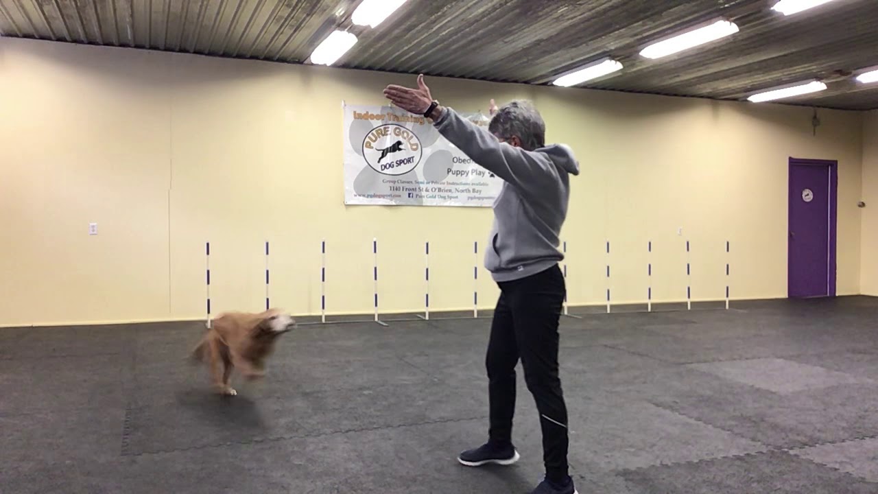 Intermediate Youtube