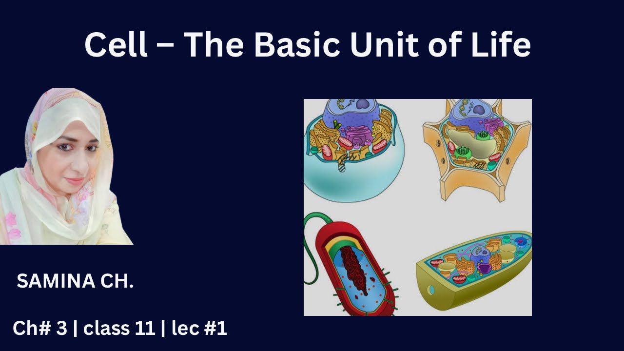Cell – The Basic Unit of Life | ch#3 | class 11 biology - YouTube