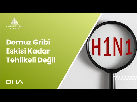 Domuz Gribi Eskisi Kadar Tehlikeli Değil