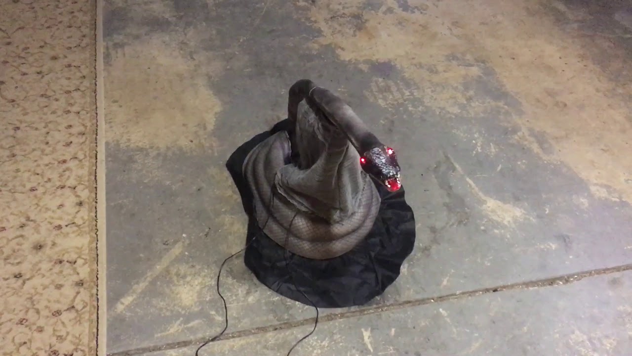 Spirit Halloween 2013 jumping snake - YouTube