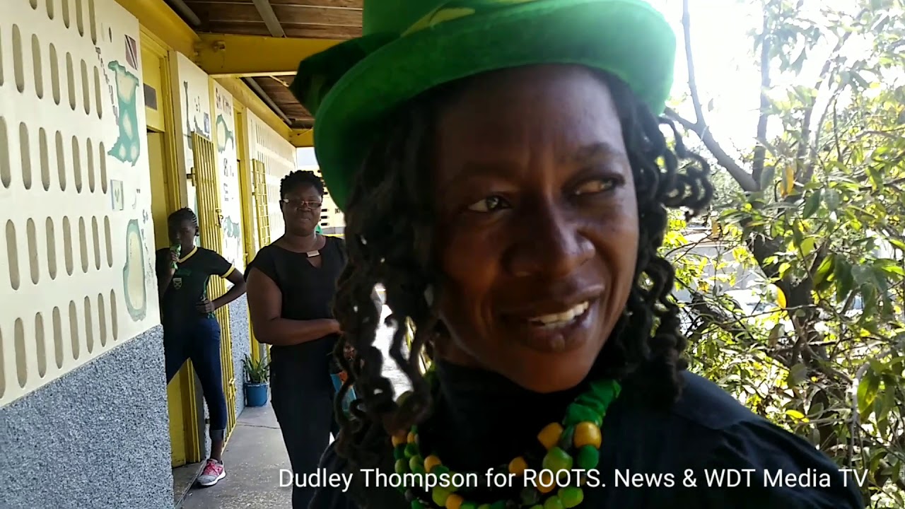 WDT Media TVl Jamaica Day at DuPont Primary - YouTube