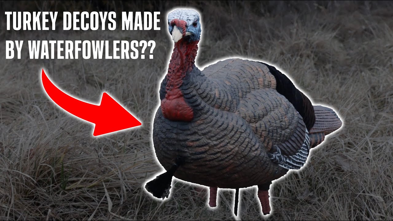 This Waterfowl Decoy maker is making Turkey Decoys?? (FA Live Jake ...