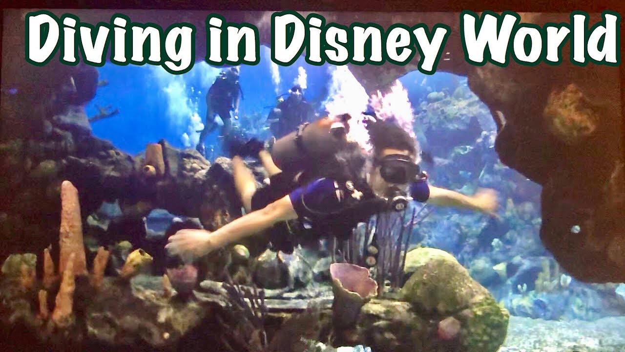🐠 Diving in EPCOT Walt Disney World Resort Orlando 🇺🇸🐡 - YouTube