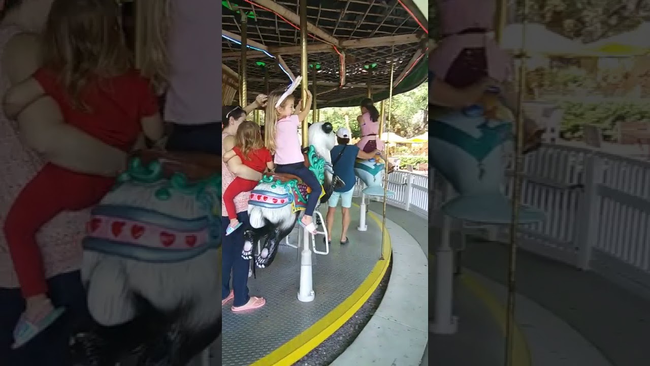 Zoo Tampa Carousel #shorts - YouTube