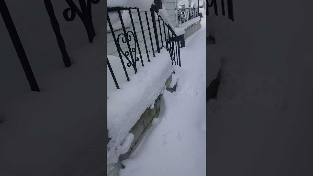 Record Snowfall in Erie Pennsylvania over 5ft of snow - YouTube
