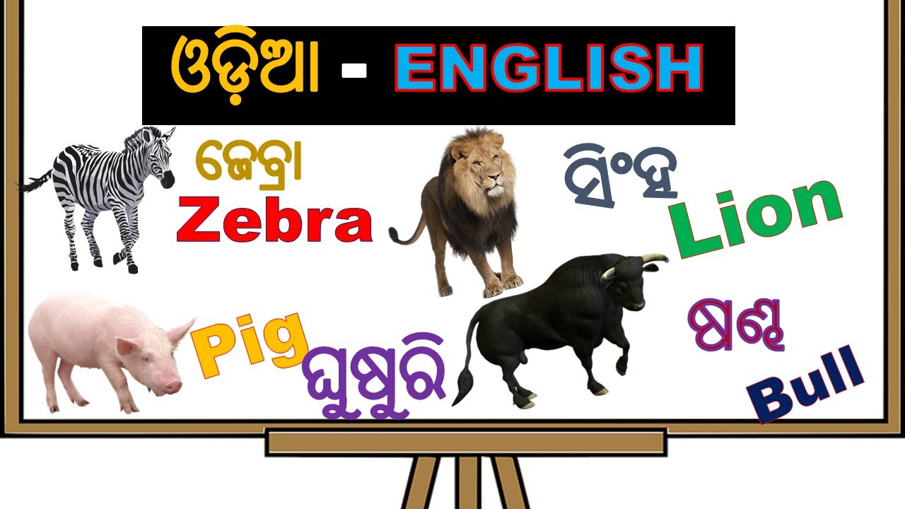 ପଶୁମାନଙ୍କର ନାମ - Animals Name in Odia and English - YouTube