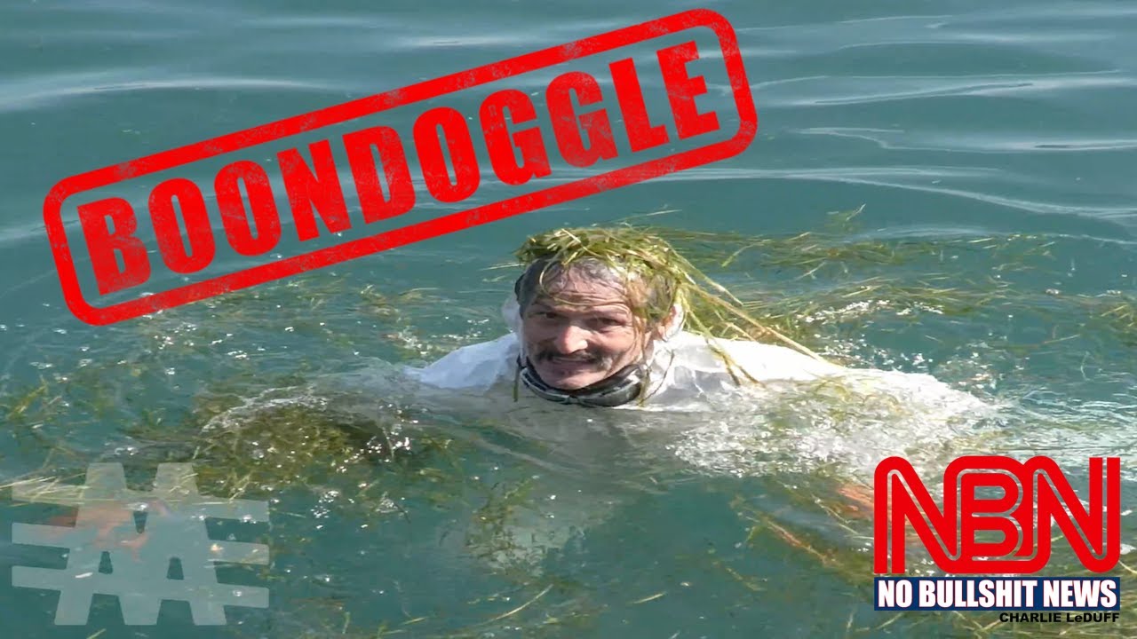Swimming in Sewage Under the Gordie Howe Bridge - YouTube
