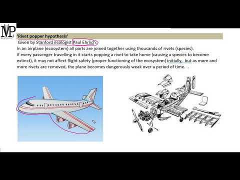 Rivet Popper hypothesis,Attribute for stable community,Loss of ...