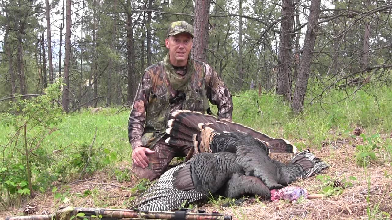 Turkey Hunting Spokane WA #48 - YouTube