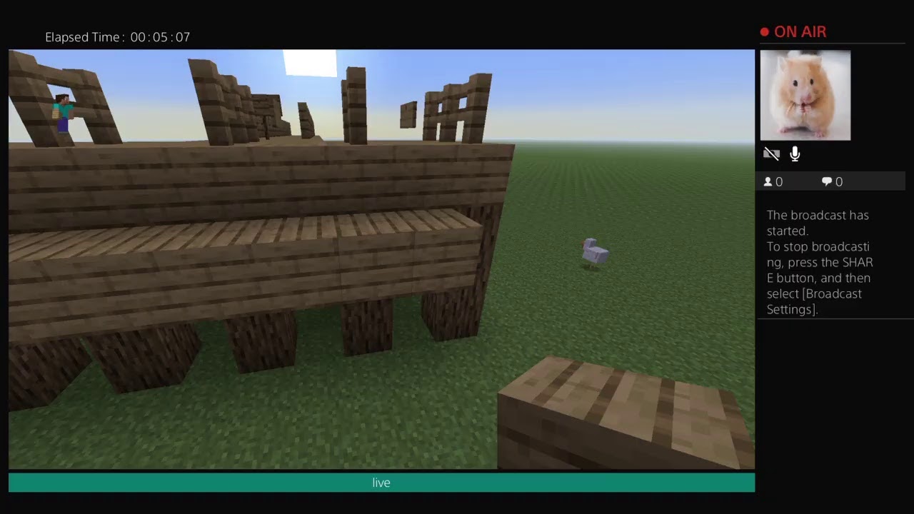 minecraft my rollercoster - YouTube