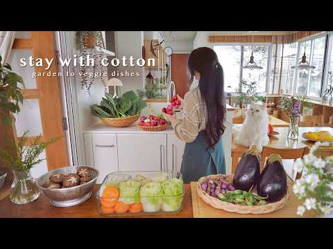 เมนูมังสวิรัติเพื่อสุขภาพจากผักปลูกเอง 🍲🌿 | ทำผมในวันสบายๆ | จับฉ่าย | ผัดคะน้าเจ | ตำมะเขือ | VLOG