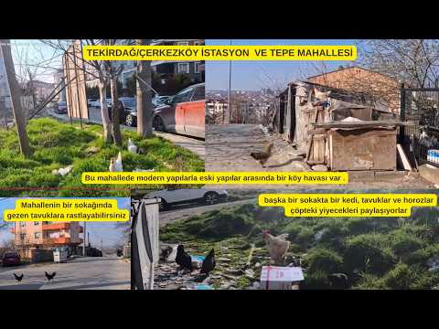 TEKİRDAĞ ÇERKEZKÖY İSTASYON  MAHALLESİ İLE TEPE MAHALLESİ