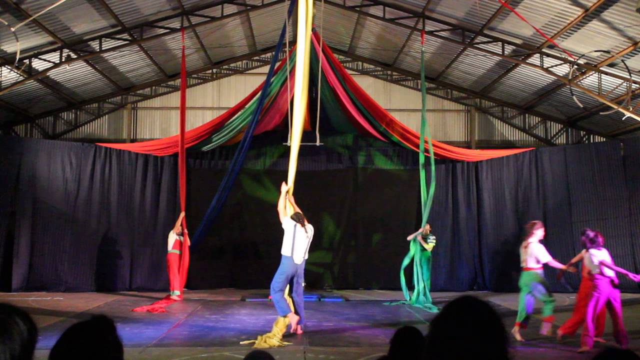 Grupal de Acrobacia en Tela -Muestra Coreográfica Telarbol - YouTube