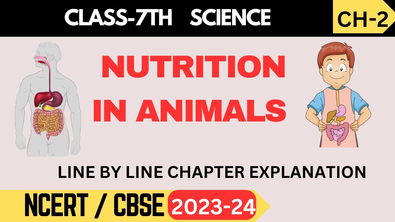 Class 7 Science I Nutrition in Animals I Chapter-2 - YouTube