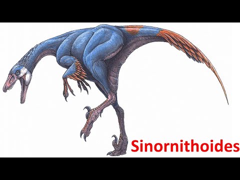 Sinornithoides