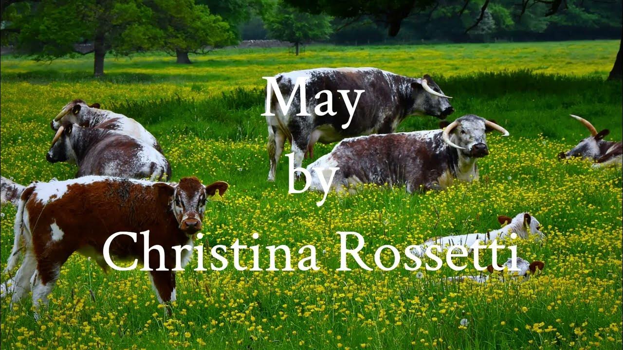 May by Christina Rossetti - YouTube