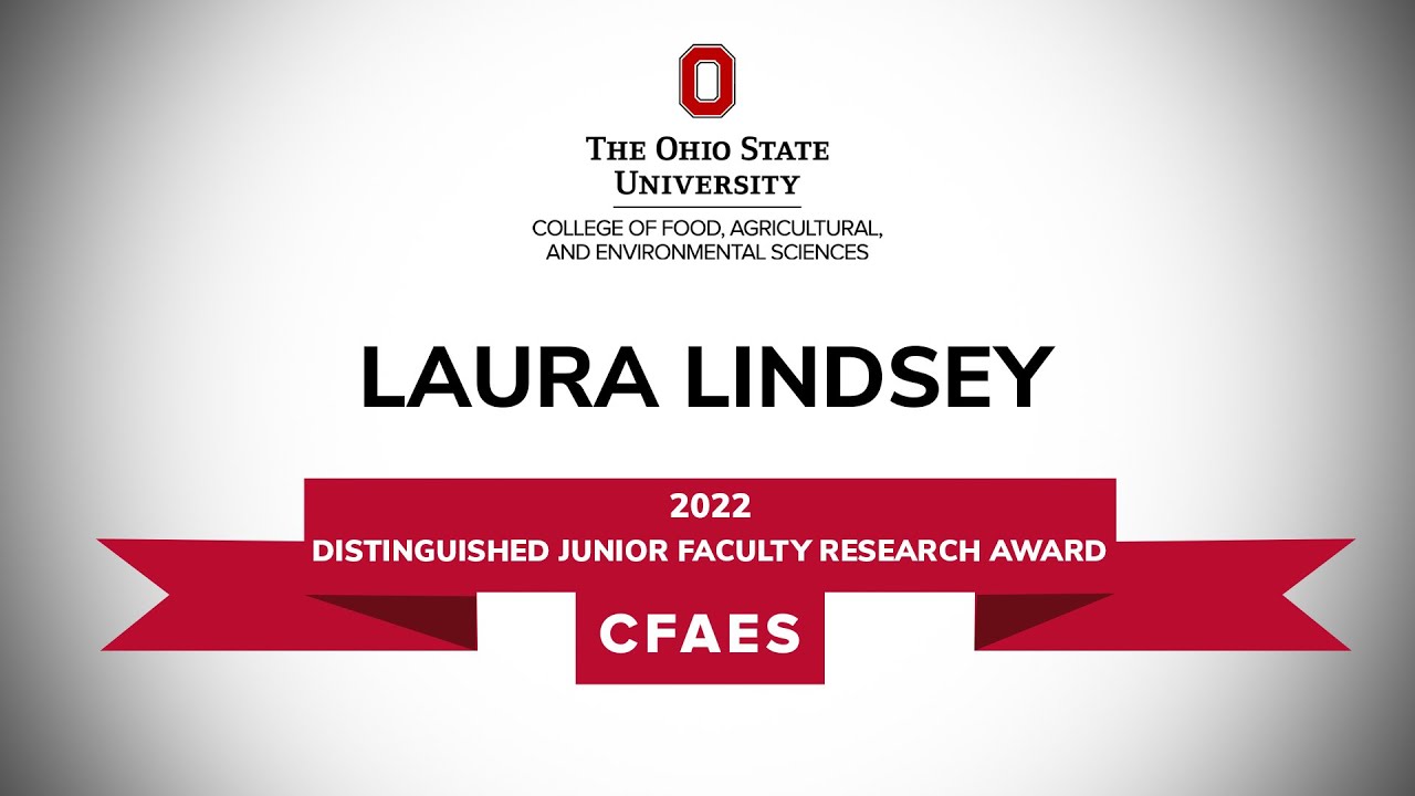 2022 Distinguished Junior Faculty Research Award: Laura Lindsey - YouTube