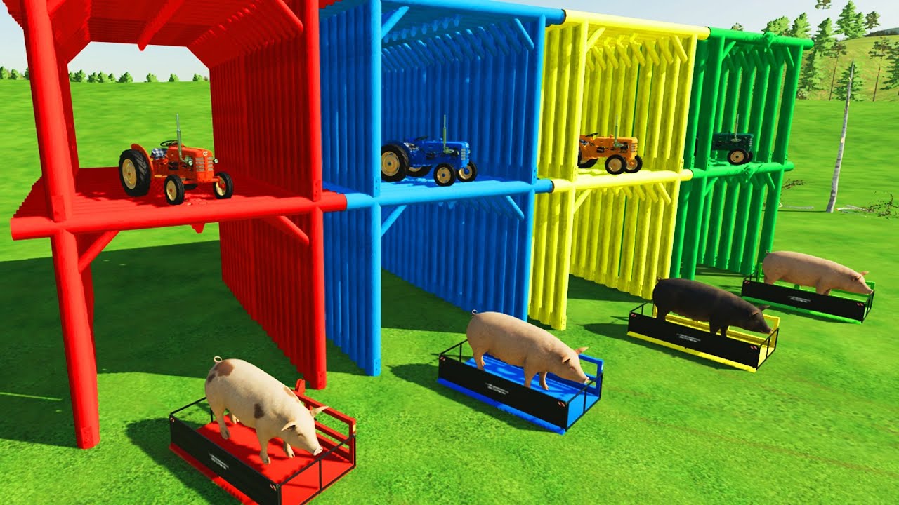 TRANSPORT OF COLORS ! PRETTY PIG LOADING ON TRAILER w MTZ MINI TRACTORS ...