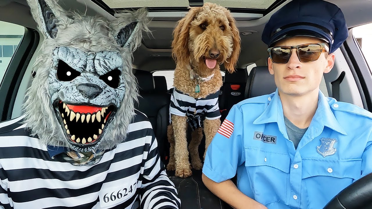 Wolf SAVES Puppy From Police Car Ride Chase! - YouTube