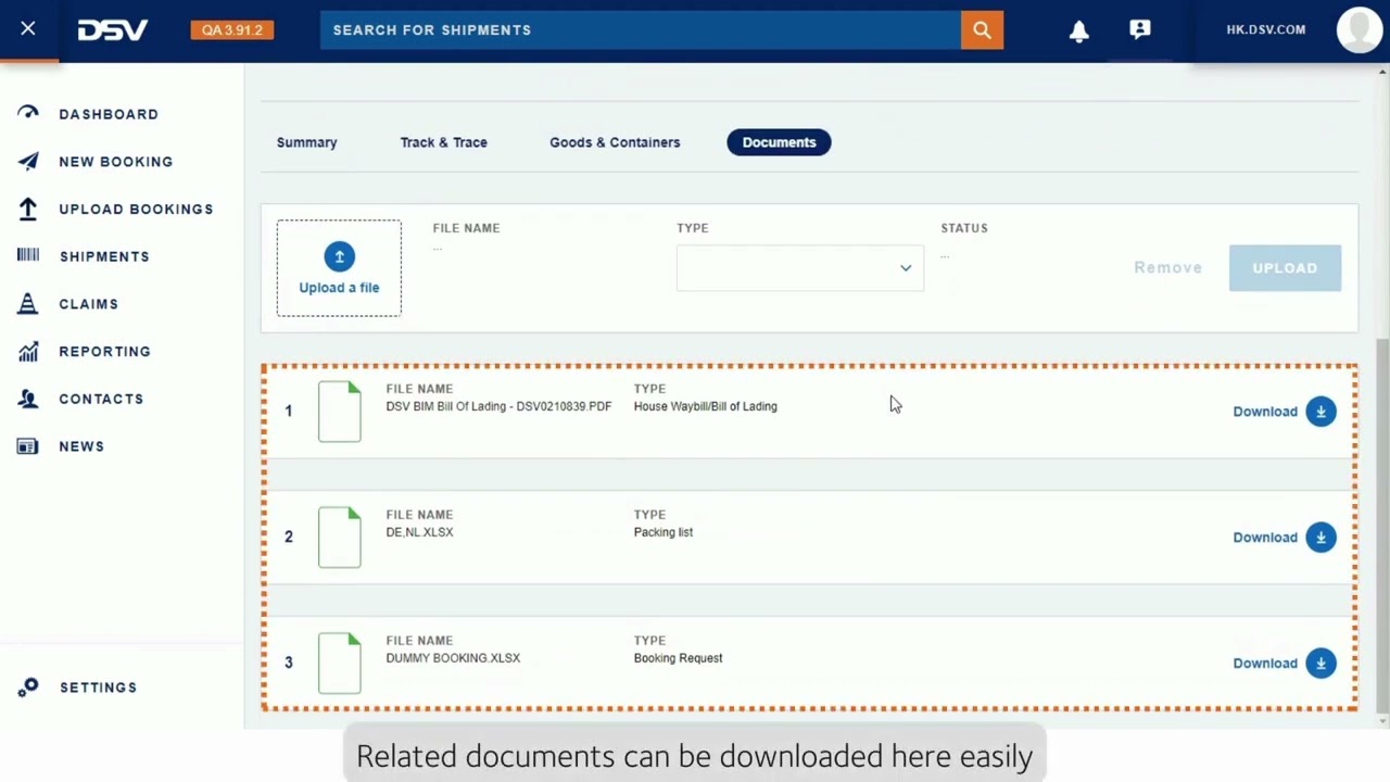 myDSV Tracking and Report - YouTube