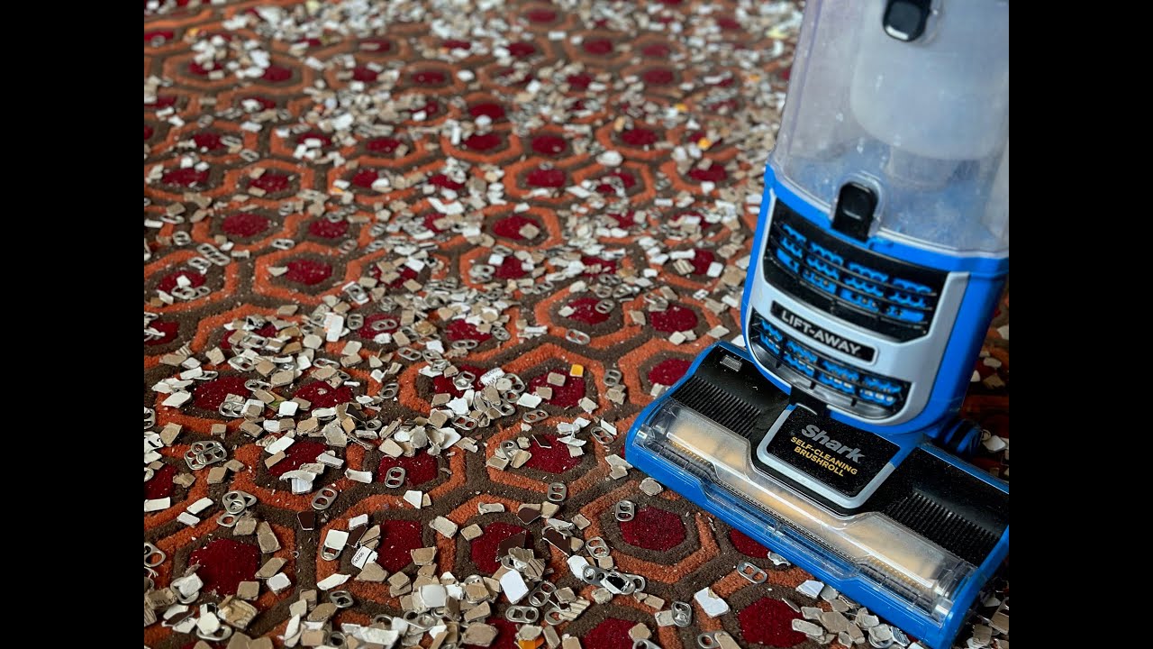 Demure and Mindful Shark vs Chaotic Aggressive Vacmaster🎙️| Request for ...