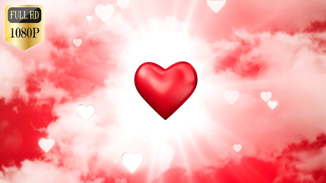 Valentine's Day 10 Free Backgrounds/Video Backgrounds-No Copyrights ...