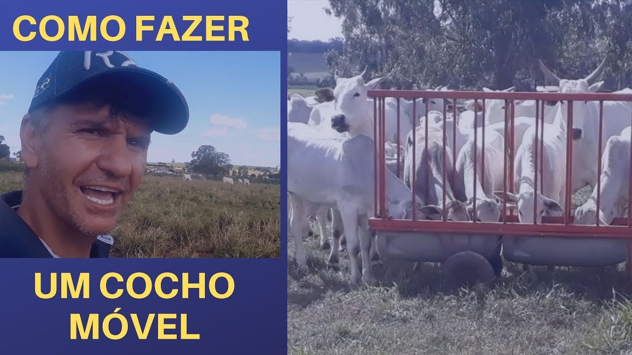 APRENDA A FAZER COCHO MÓVEL PARA GADO ( CREEP FEEDING). - YouTube