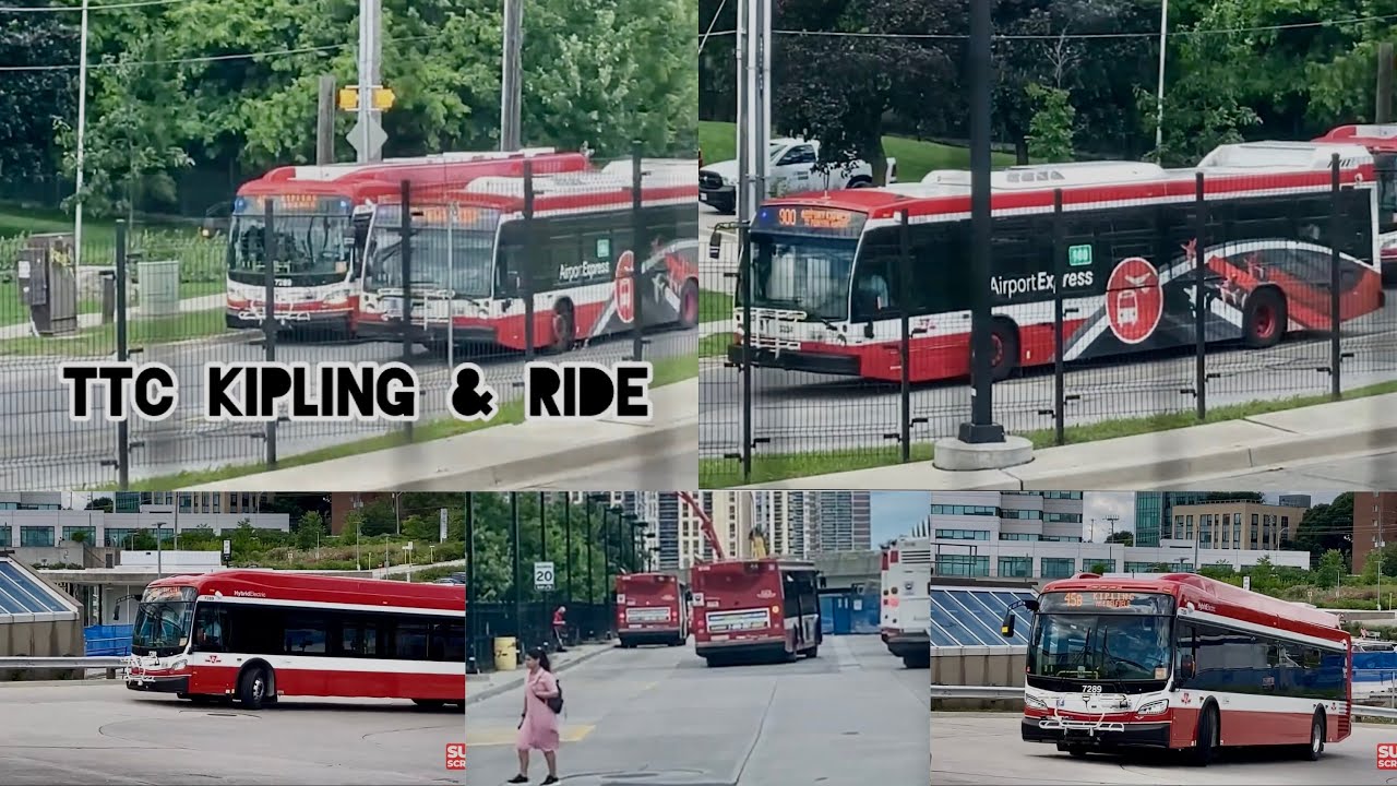 TTC Buses at Kipling Station: Arrivals and Ride-Aboard (July 25, 2024 ...