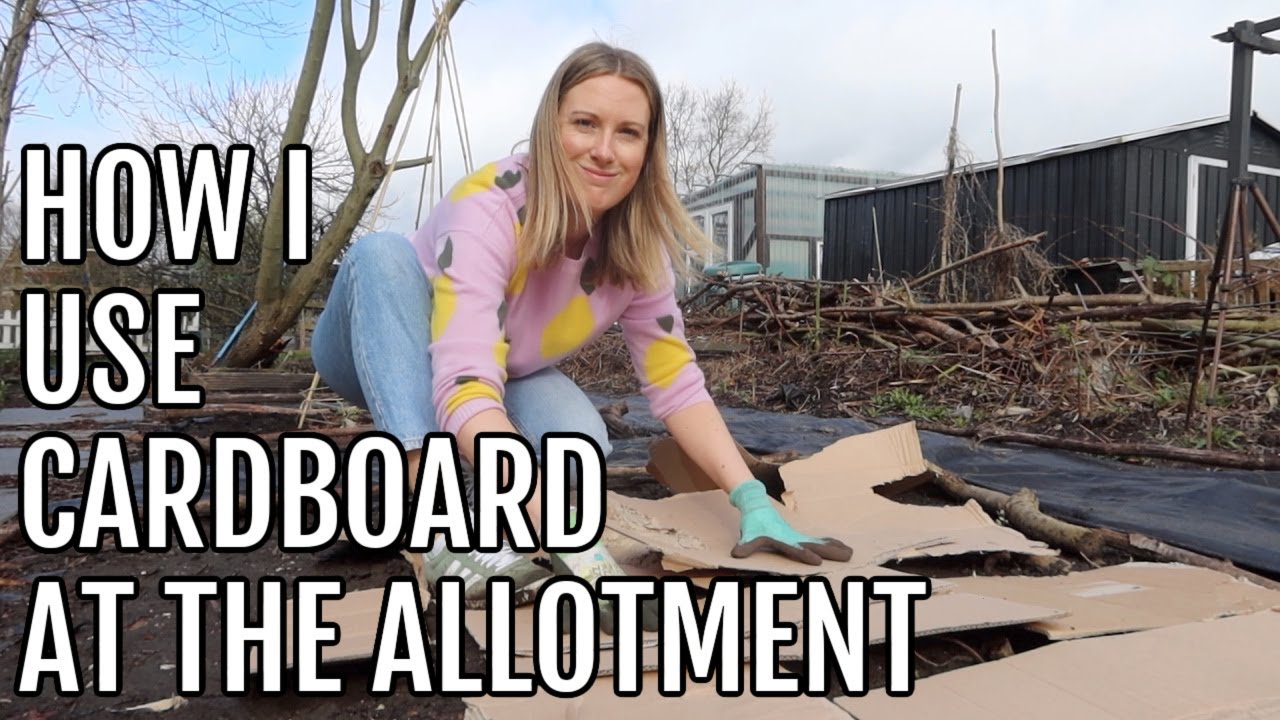 HOW I USE CARDBOARD AT THE ALLOTMENT / ALLOTMENT GARDENING FOR BEGINNERS - YouTube