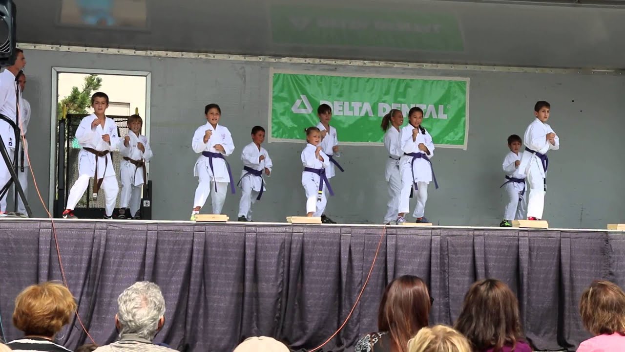 Okinawa Dojo performance at PBS Kids Fun Fest - 09.06.2014 - YouTube