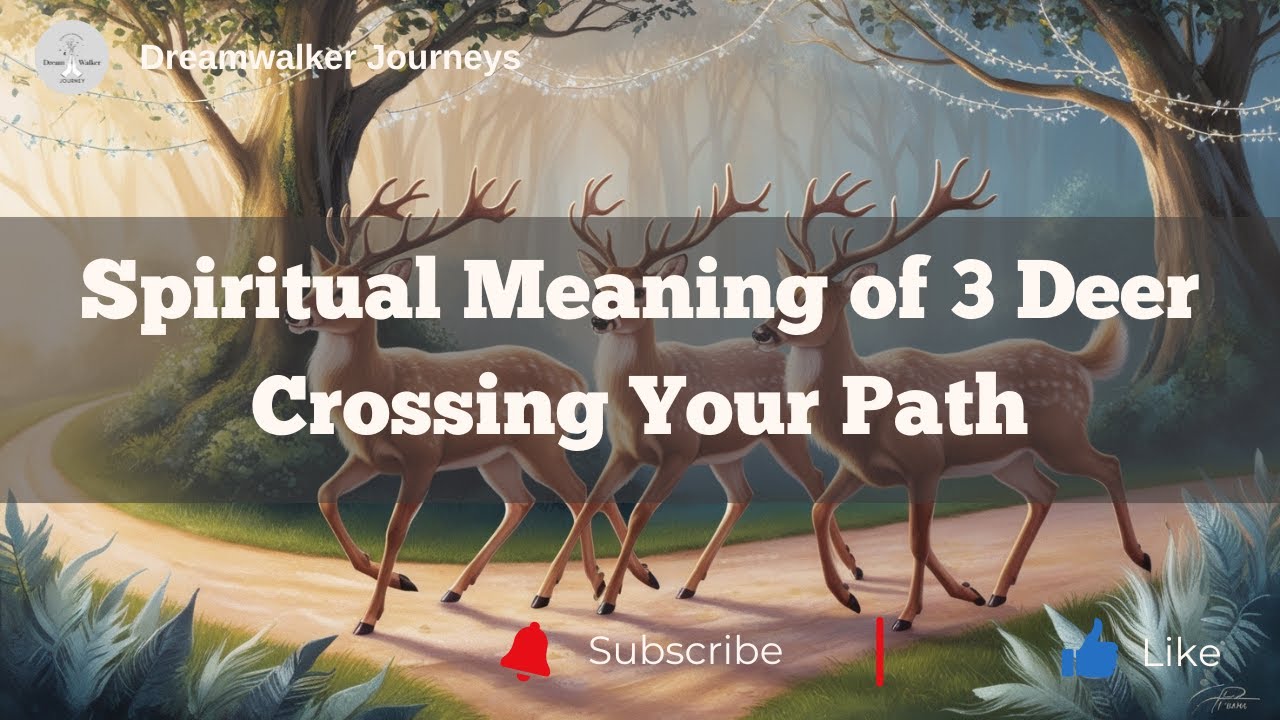 I Discovered the Shocking Truth About 3 Deer Crossing Your Path - YouTube