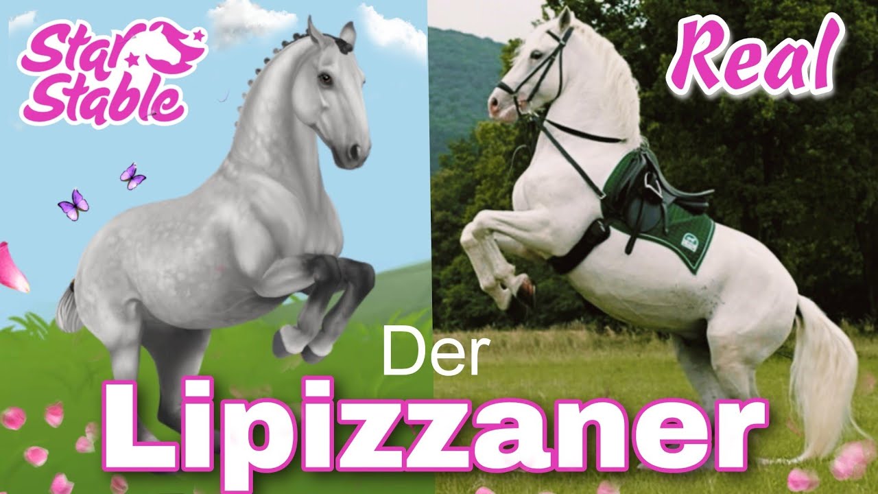 Der LIPIZZANER💜SSO Gen 3 *NEU*🐴 💜 KEIN SPOILER!! #starstable #sso # ...