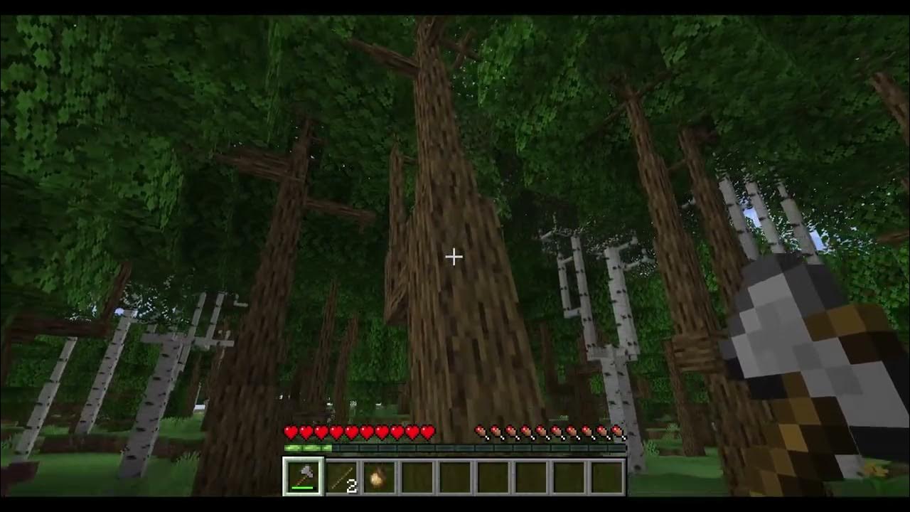 Mod de Minecraft Java para que se caigan los árboles al talarlos 1.20.1 ...