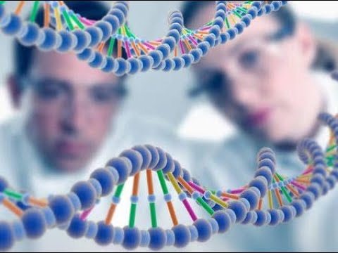 BOŽJI GEN VMAT2 - MOĆ GENETSKOG INŽENJERINGA (3. dio) - YouTube