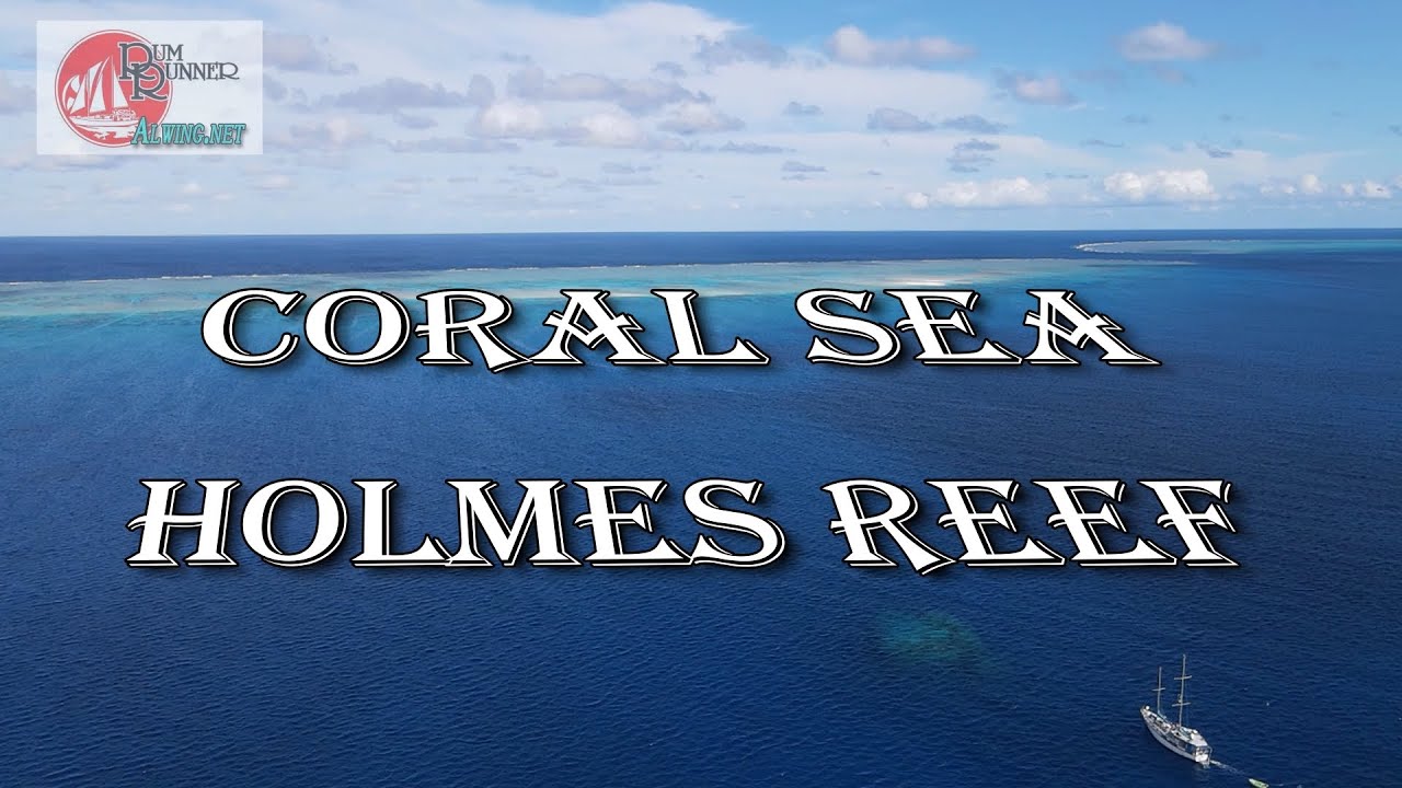 HOLMES REEF CORAL SEA AUSTRALIA DIVING オーストラリア ケアンズからのダイビング コーラルシーのホルメス ...