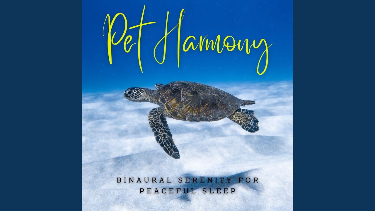 Deep Pet Relaxation with Ocean Waves - YouTube