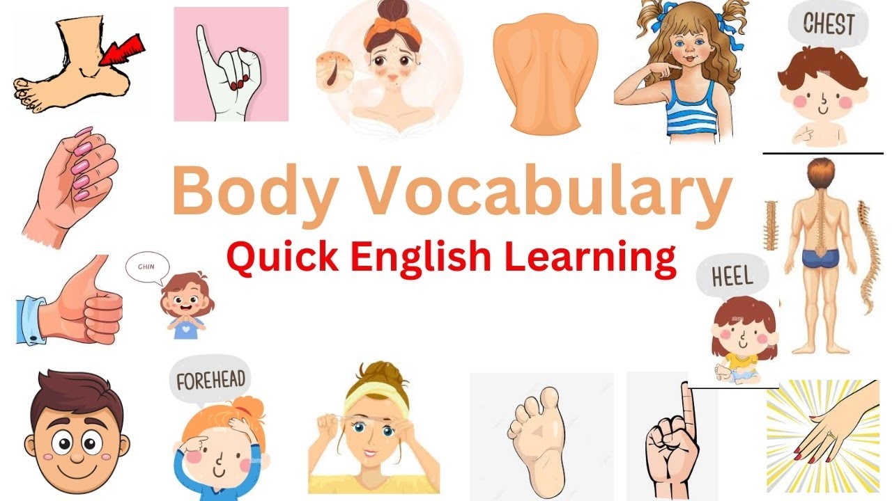 Parts of our Body | English Vocabulary | Name in English with Pictures ...