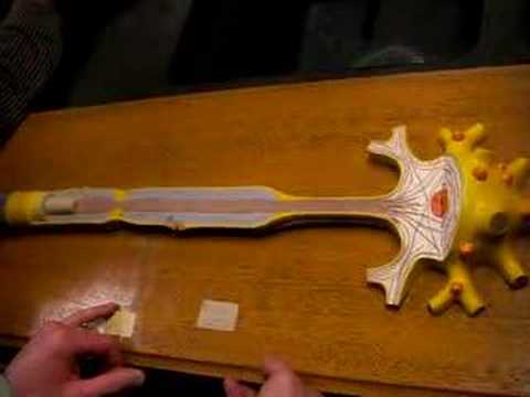 Neuron p1