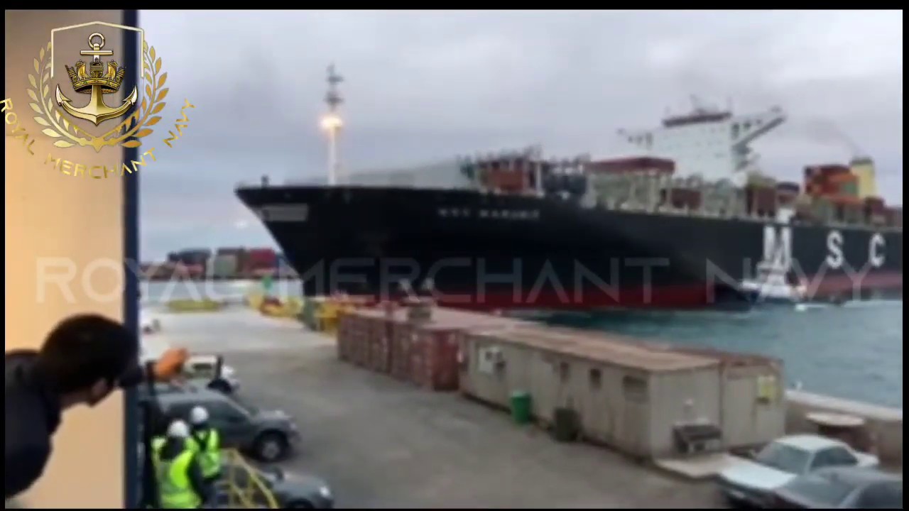 MSC mega container MSC MARGRIT ship docking: near-miss or perfect ...