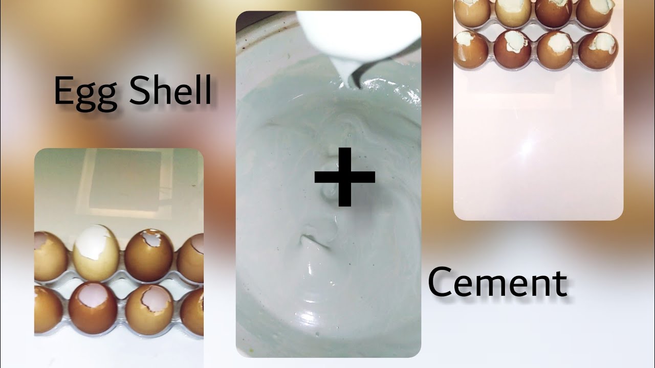 Egg Shell And Cement Idea's//Beautiful Home Decor//Egg Shell +Cement 👌🏻 ...