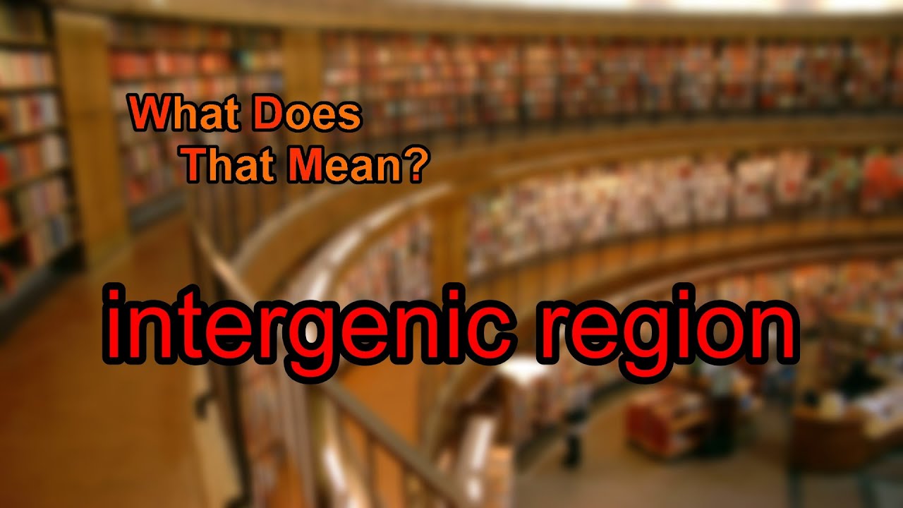 What does intergenic region mean? - YouTube