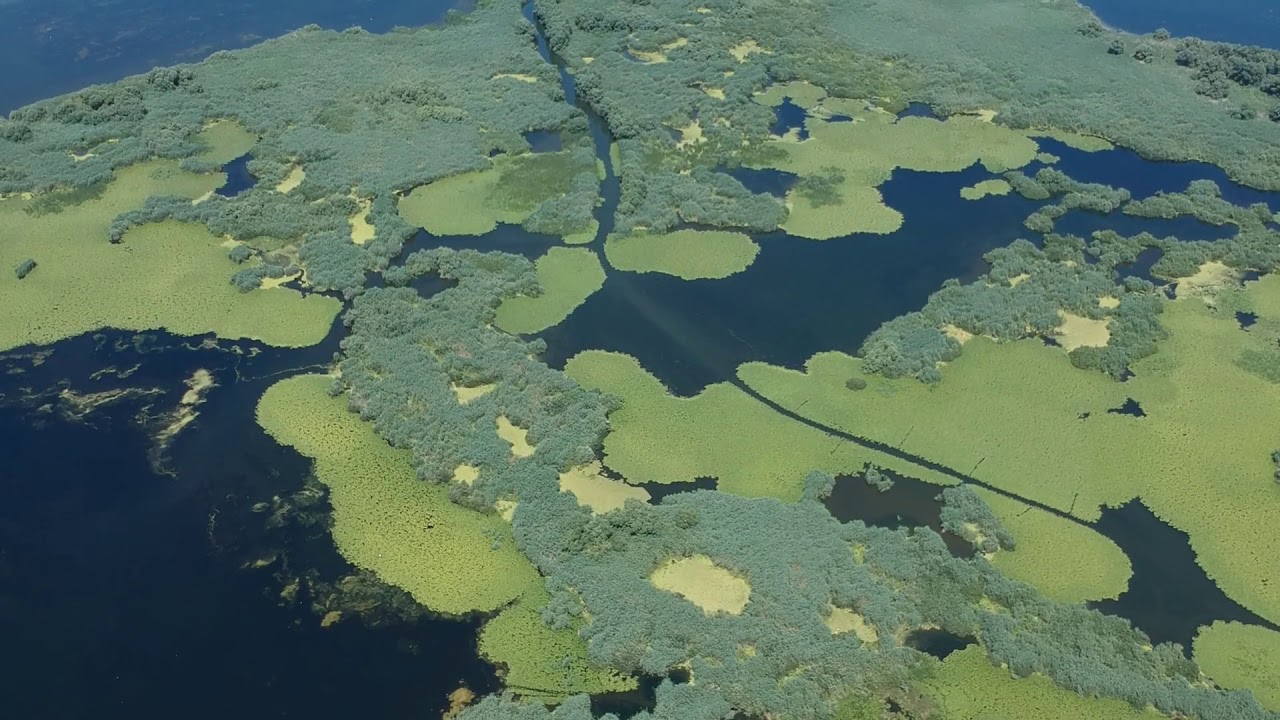 Delta Dunarii - YouTube