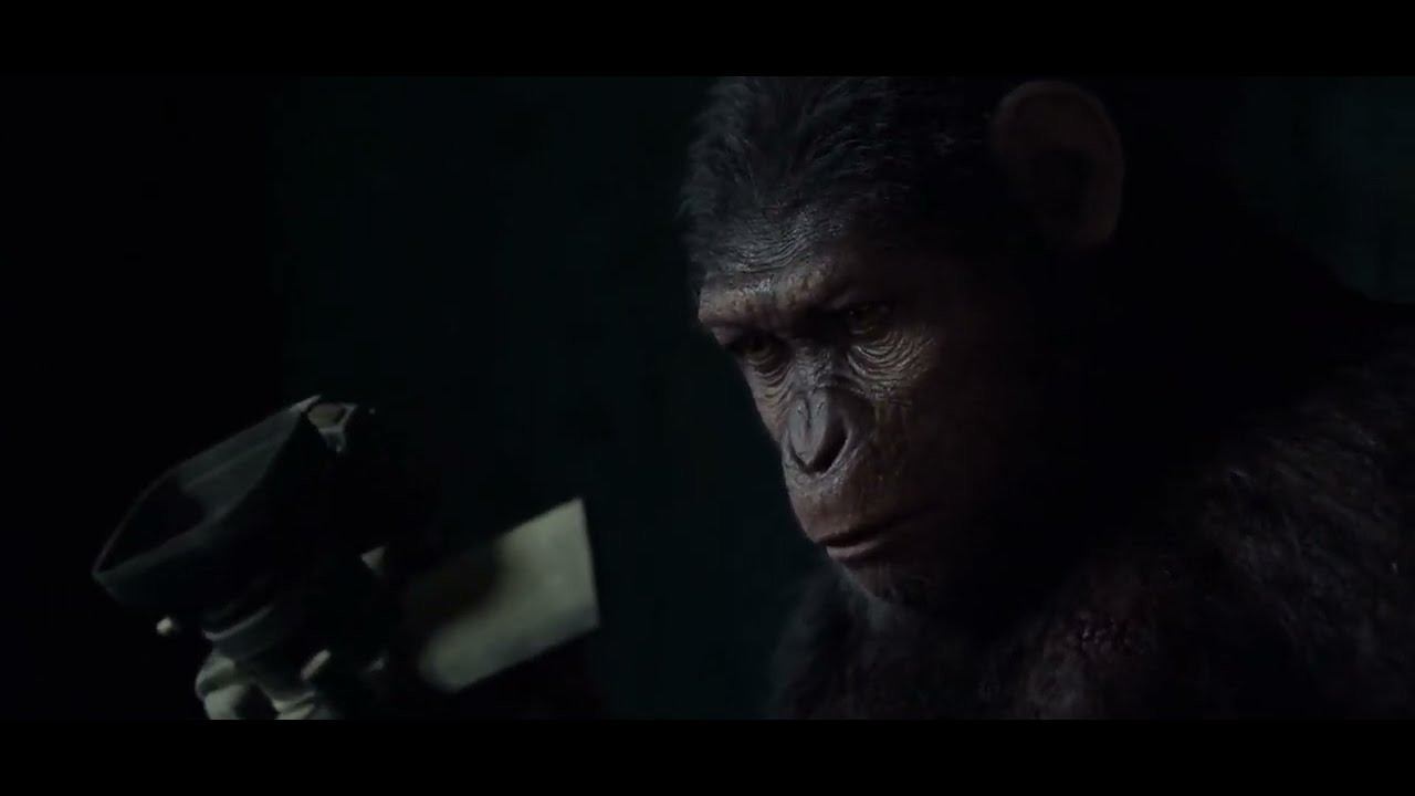 planet of the apes caesar and William Rodman - YouTube