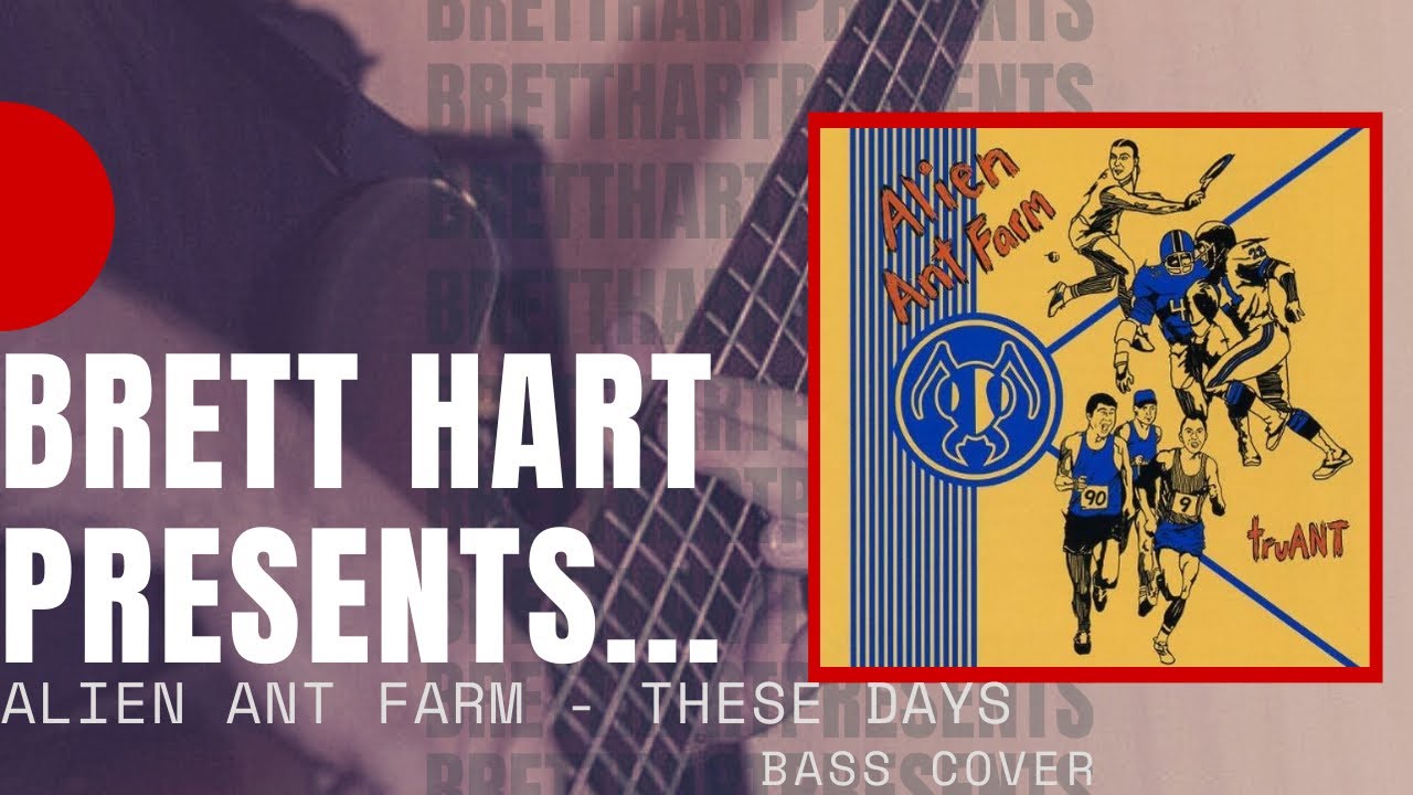 Alien Ant Farm - These Days (bass cover) - YouTube