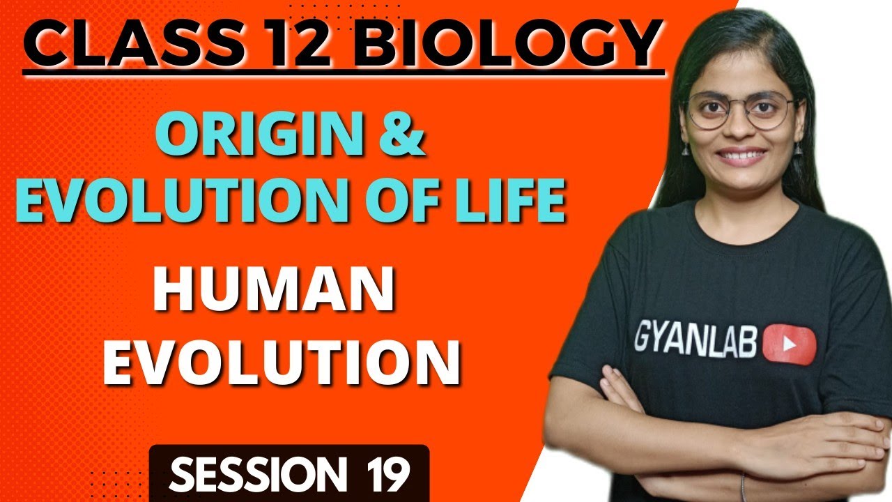 Class 12 Biology - Origin and Evolution: Human Evolution | Gyanlab ...