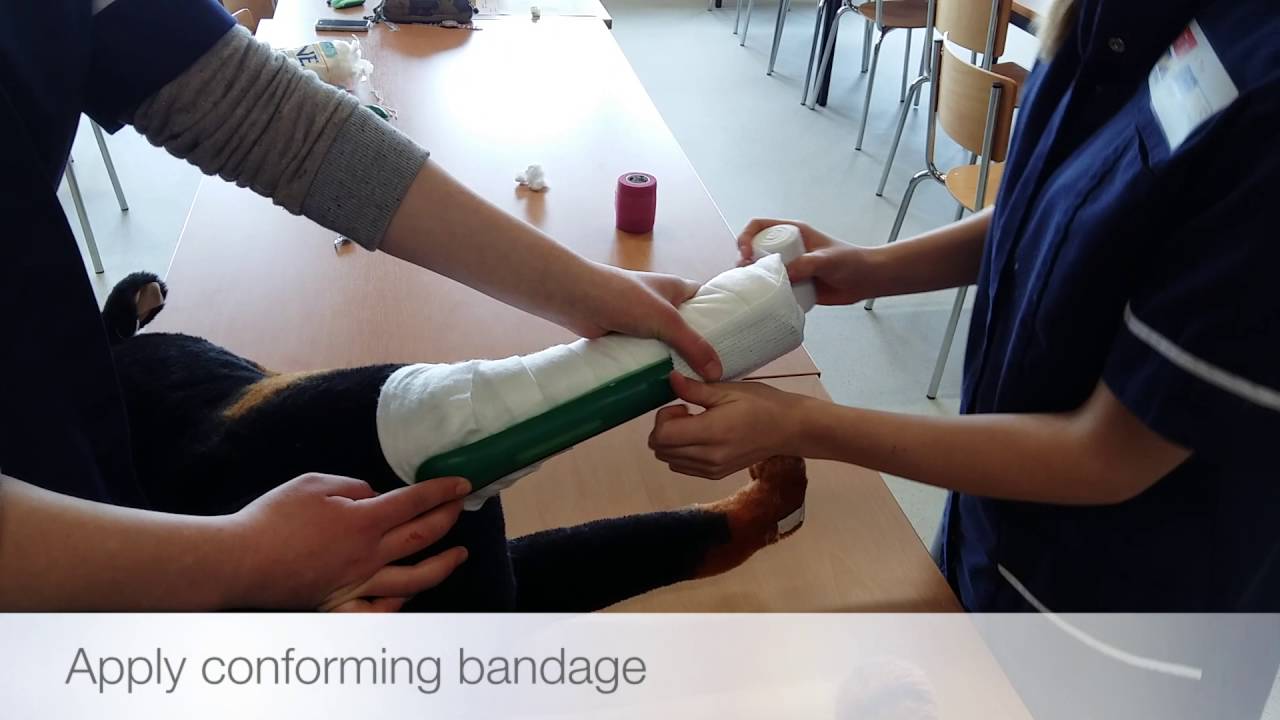 Pepas 5-2 Bandaging splint - YouTube