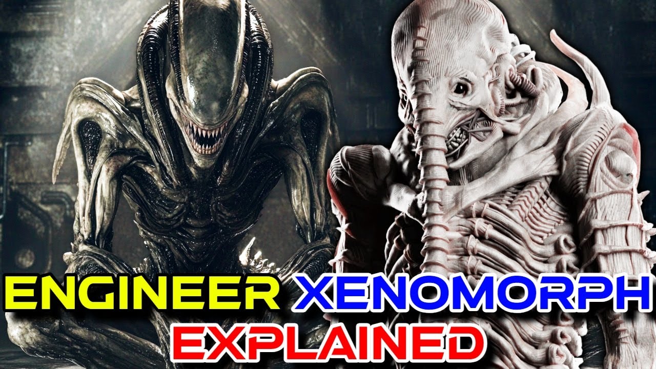 Space Jockey Xenomorph Explained - Is This The Ultimate Xenomorph? The ...