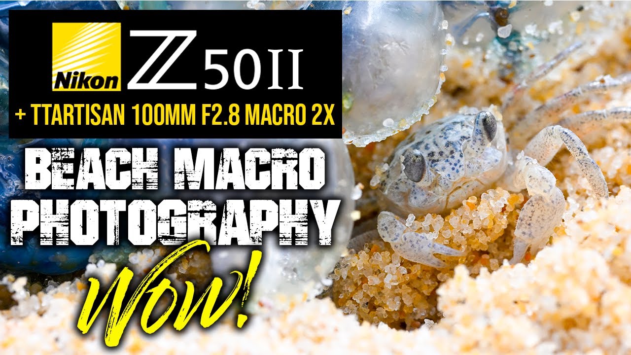 Nikon Z50II Beach Macro Photography | WOW! - YouTube